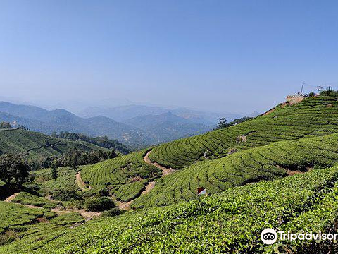 2023Lockhart Tea Museum-旅游攻略-门票-地址-问答-游记点评，伊都基县旅游旅游景点推荐-去哪儿攻略