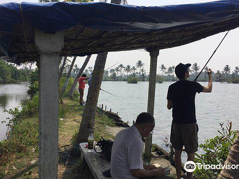 2023Matsyafed Fish Farm-旅游攻略-门票-地址-问答-游记点评，柯钦旅游旅游景点推荐-去哪儿攻略
