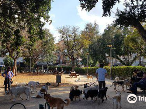 2024Gan Meir Park-旅游攻略-门票-地址-问答-游记点评，特拉维夫旅游旅游景点推荐-去哪儿攻略