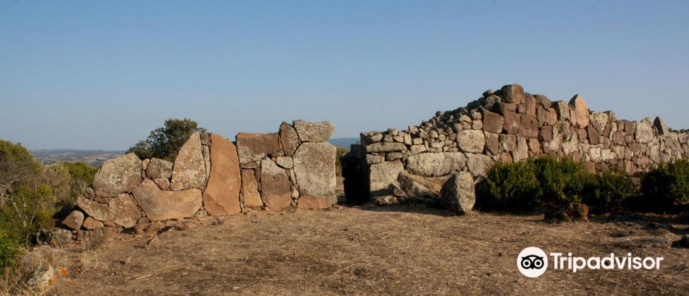 2023Complesso Megalitico di Monte Baranta-旅游攻略-门票-地址-问答-游记点评，奥尔梅多旅游旅游景点 ...