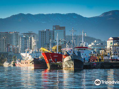 2024Batumi Sea Port-旅游攻略-门票-地址-问答-游记点评，巴统旅游旅游景点推荐-去哪儿攻略
