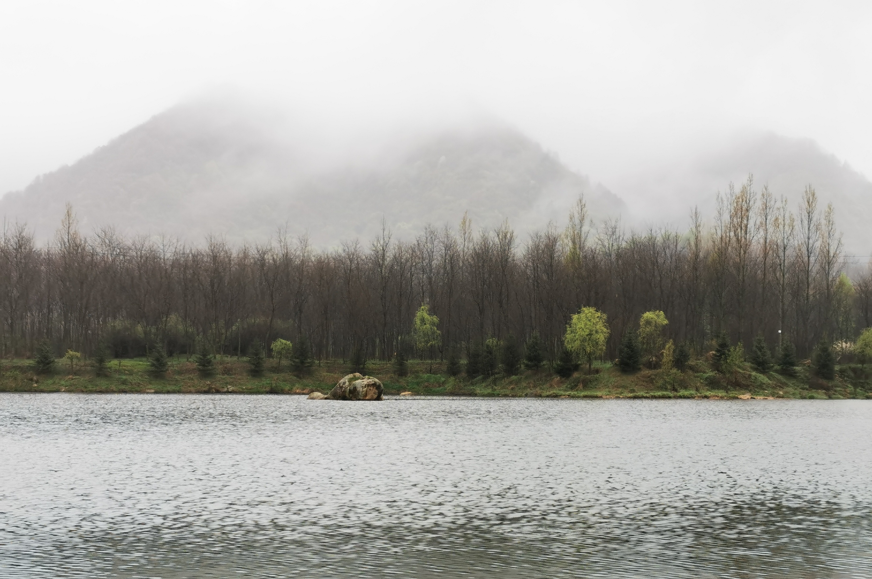 2021秦岭-旅游攻略-门票-地址-问答-游记点评，宝鸡旅游旅游景点推荐-去哪儿攻略