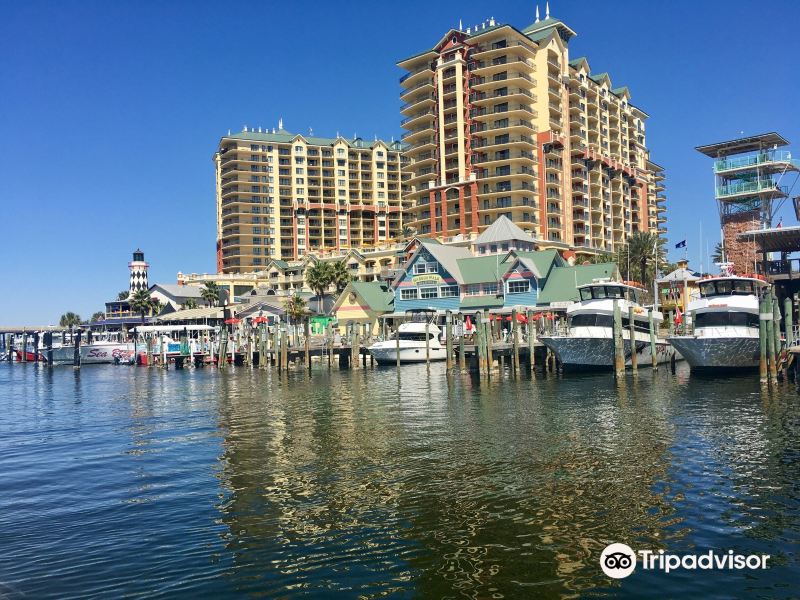 2024Crystal Sands Beach-旅游攻略-门票-地址-问答-游记点评，Destin旅游旅游景点推荐-去哪儿攻略