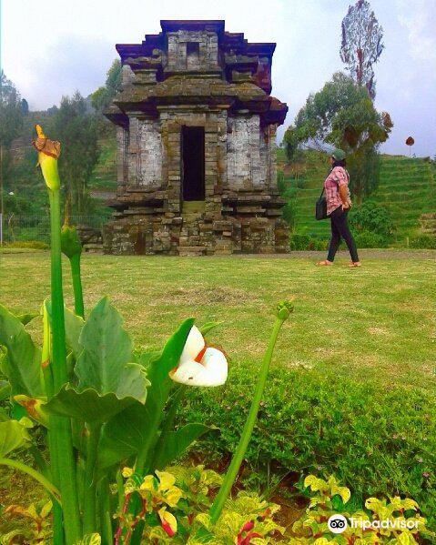 2023Dwarawati Temple-旅游攻略-门票-地址-问答-游记点评，Dieng Kulon旅游旅游景点推荐-去哪儿攻略