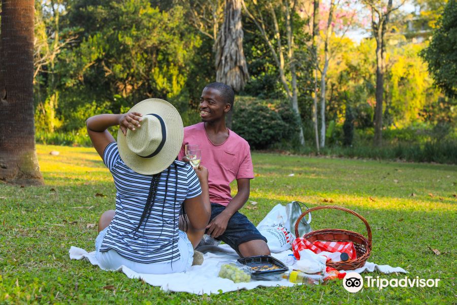 2022KZN National Botanical Garden (PMB)-旅游攻略-门票-地址-问答-游记点评，彼得马里茨堡旅游旅游景点 ...