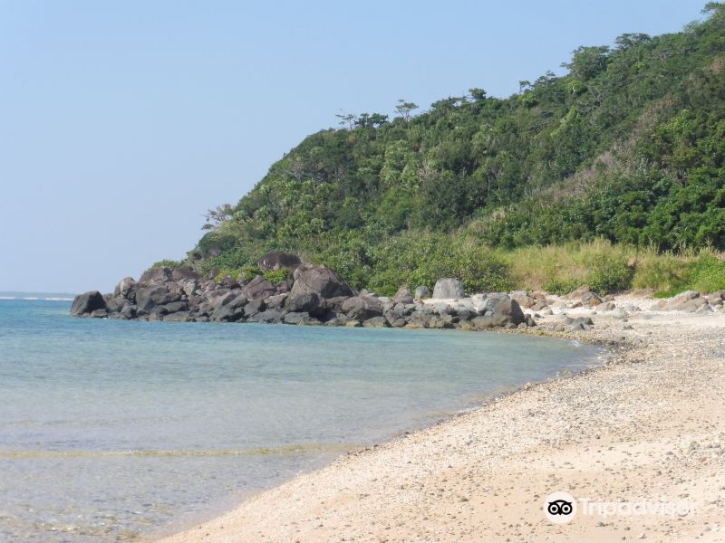 2024Ala Beach-旅游攻略-门票-地址-问答-游记点评，久米岛町旅游旅游景点推荐-去哪儿攻略