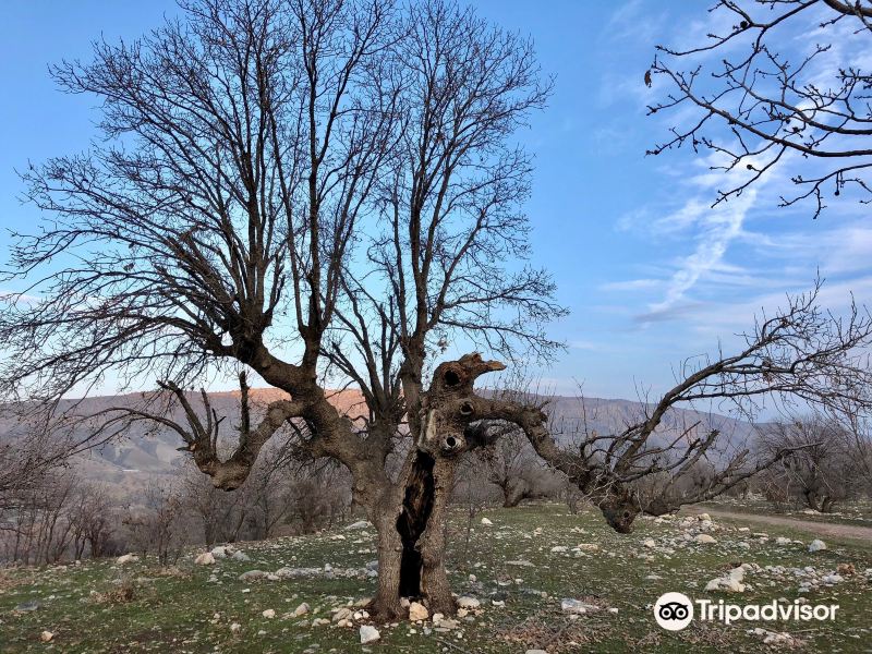 2023Naram-Sin Rock Relief-旅游攻略-门票-地址-问答-游记点评，Darbandihkan旅游旅游景点推荐-去哪儿攻略