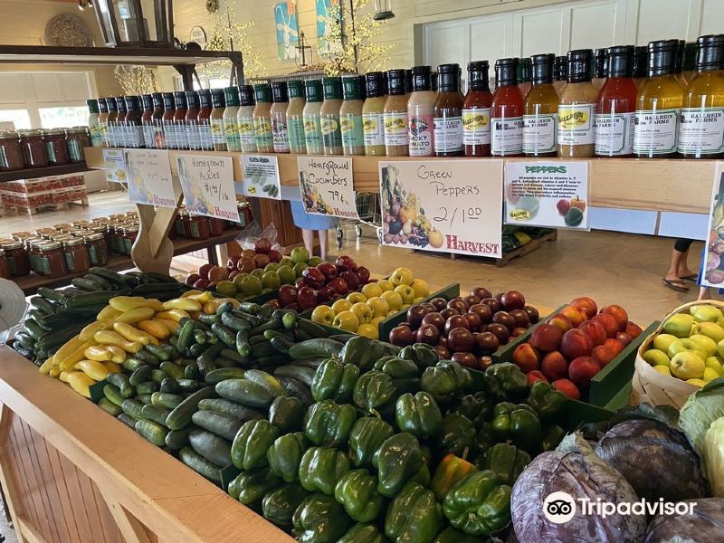 2024Gallrein Farms-旅游攻略-门票-地址-问答-游记点评，谢尔比旅游旅游景点推荐-去哪儿攻略