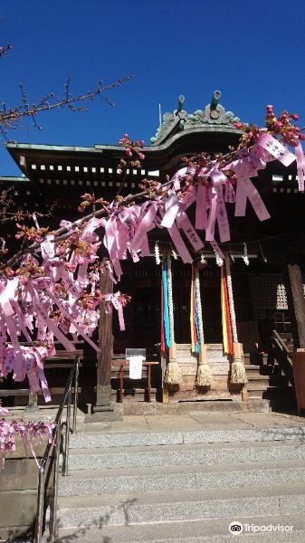 2022Sakura Shrine门票,东京Sakura Shrine游玩攻略,Sakura Shrine游览攻略路线/地址/门票价格-【去哪儿攻略】