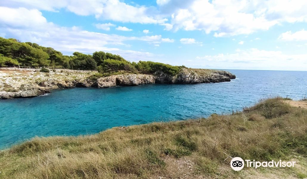 2023Spiaggia di Porto Badisco-旅游攻略-门票-地址-问答-游记点评，奥特朗托旅游旅游景点推荐-去哪儿攻略