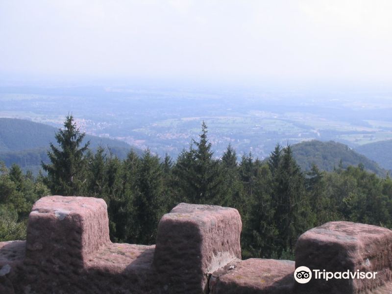 2024Tour Panoramique du Grand Wintersberg-旅游攻略-门票-地址-问答-游记点评，尼德布龙莱班旅游旅游 ...