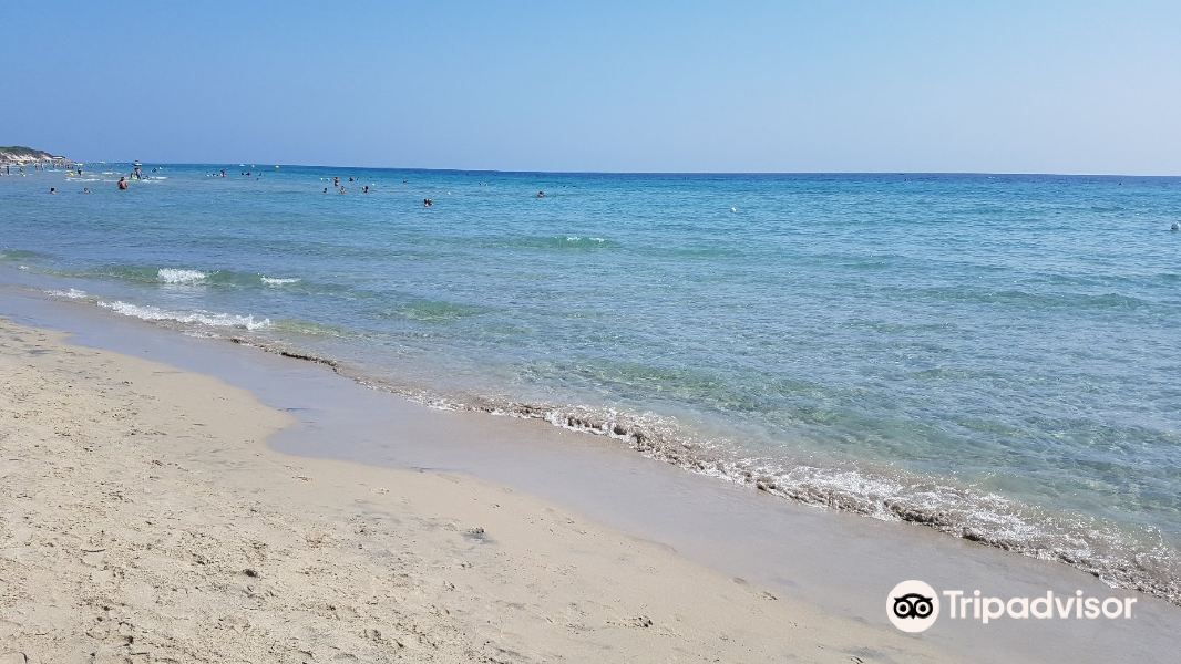 2022Spiaggia Alimini-旅游攻略-门票-地址-问答-游记点评，奥特朗托旅游旅游景点推荐-去哪儿攻略