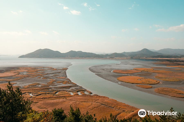 2023Suncheon Bay Wetland Reserve门票,顺天市Suncheon Bay Wetland Reserve游玩攻略 ...