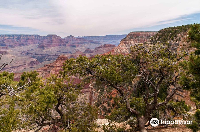 2023East Rim Drive门票,大峡谷村East Rim Drive游玩攻略,East Rim Drive游览攻略路线/地址/门票 ...