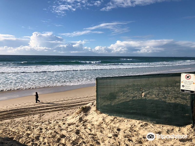 2023Narrow Neck Beach门票,Main BeachNarrow Neck Beach游玩攻略,Narrow Neck ...