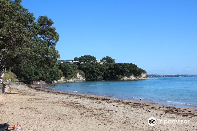 2023Narrow Neck Beach门票,Main BeachNarrow Neck Beach游玩攻略,Narrow Neck ...