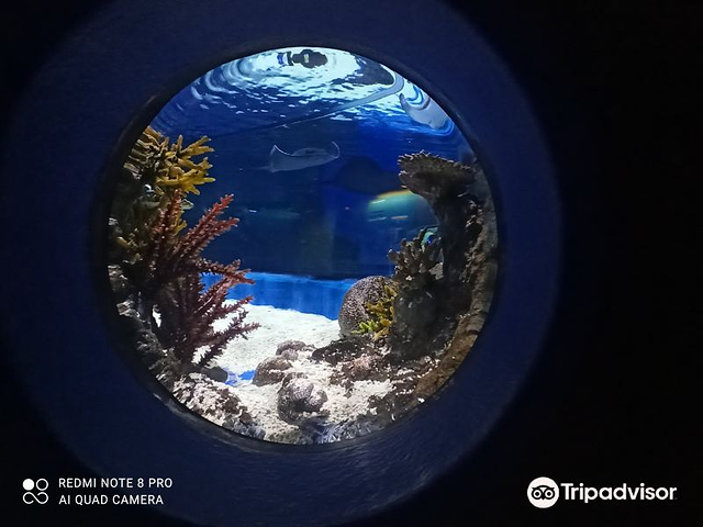 2023Xplore Entertainment Center门票,阿马鲁西翁Xplore Entertainment Center游玩攻略 ...