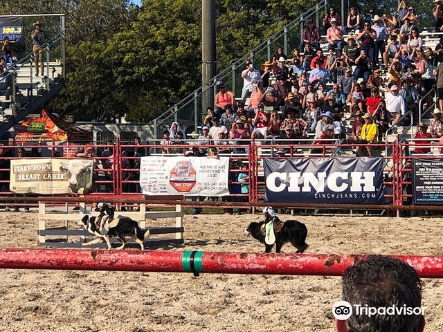 2023Harris Field Park门票,霍姆斯泰德Harris Field Park游玩攻略,Harris Field Park游览 ...