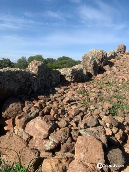2024Complesso Megalitico di Monte Baranta-旅游攻略-门票-地址-问答-游记点评，奥尔梅多旅游旅游景点 ...