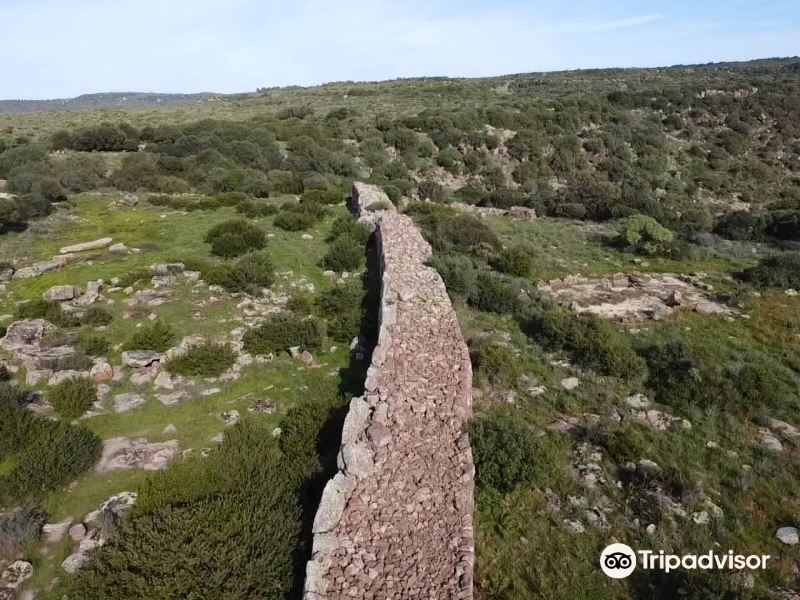 2024Complesso Megalitico di Monte Baranta-旅游攻略-门票-地址-问答-游记点评，奥尔梅多旅游旅游景点 ...