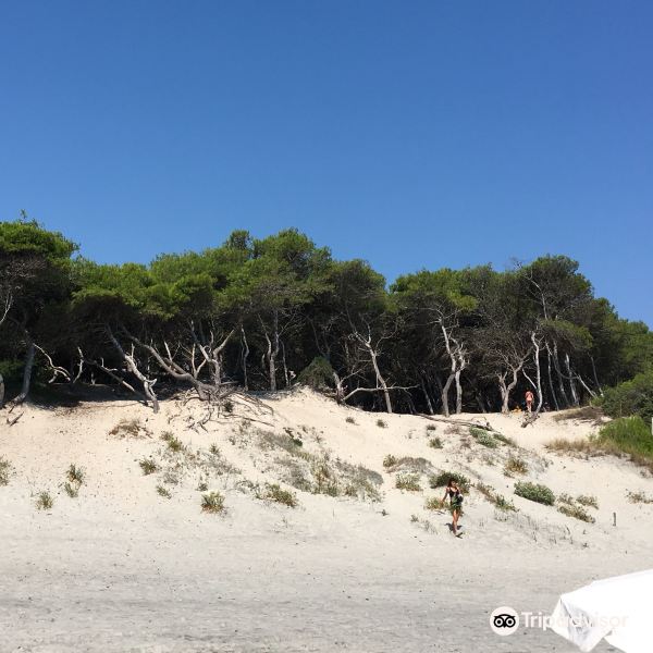 2024Spiaggia Alimini-旅游攻略-门票-地址-问答-游记点评，奥特朗托旅游旅游景点推荐-去哪儿攻略