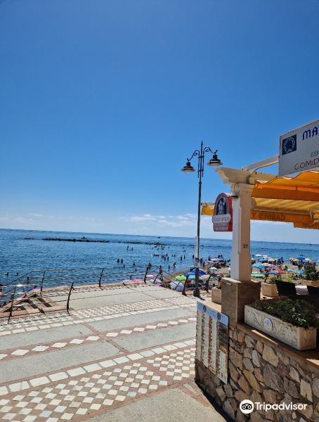 2024Torre Bermeja Beach-旅游攻略-门票-地址-问答-游记点评，贝纳尔马德纳旅游旅游景点推荐-去哪儿攻略