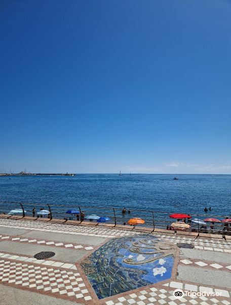 2023Torre Bermeja Beach-旅游攻略-门票-地址-问答-游记点评，贝纳尔马德纳旅游旅游景点推荐-去哪儿攻略