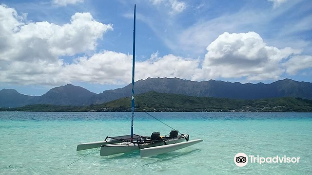 2025Shaka Oahu Sailing门票,火奴鲁鲁Shaka Oahu Sailing游玩攻略,Shaka Oahu Sailing ...