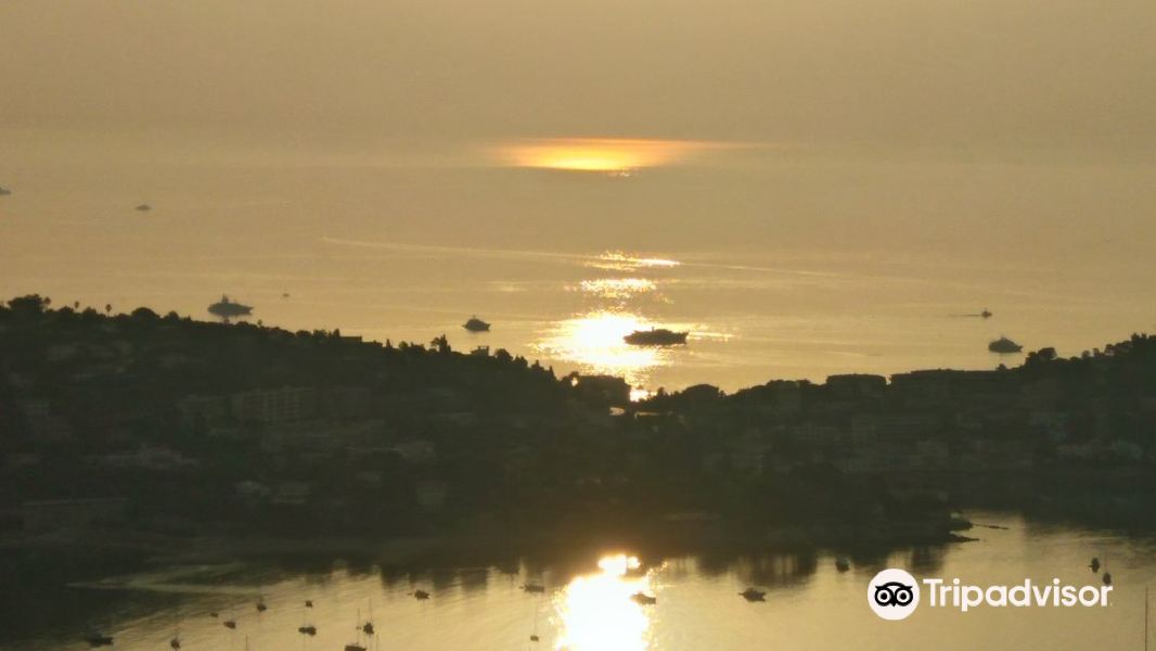 2023Parc forestier du Mont-Boron-旅游攻略-门票-地址-问答-游记点评，滨海阿尔卑斯旅游旅游景点推荐-去哪儿攻略