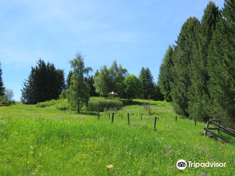2024Giardino Botanico Alpino Viote di Monte Bondone-旅游攻略-门票-地址-问答-游记点评 ...