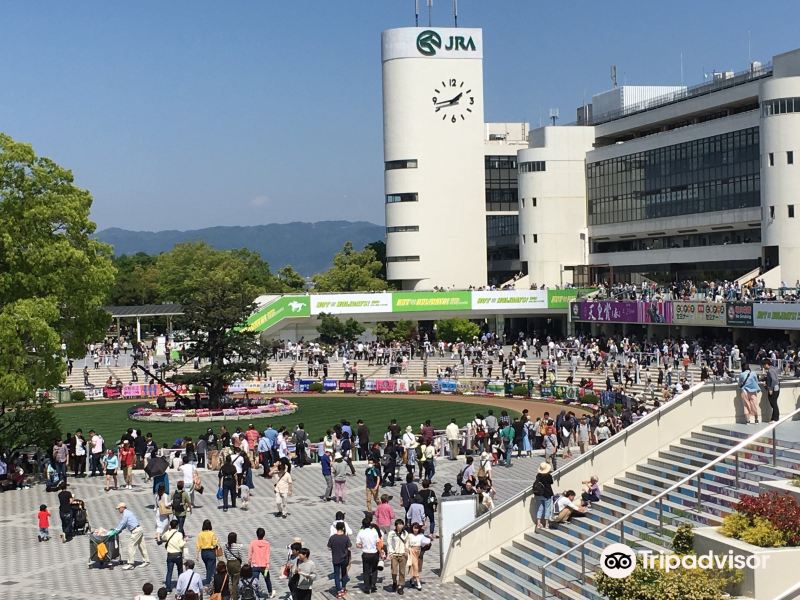 2024京都竞马场-旅游攻略-门票-地址-问答-游记点评，京都旅游旅游景点推荐-去哪儿攻略