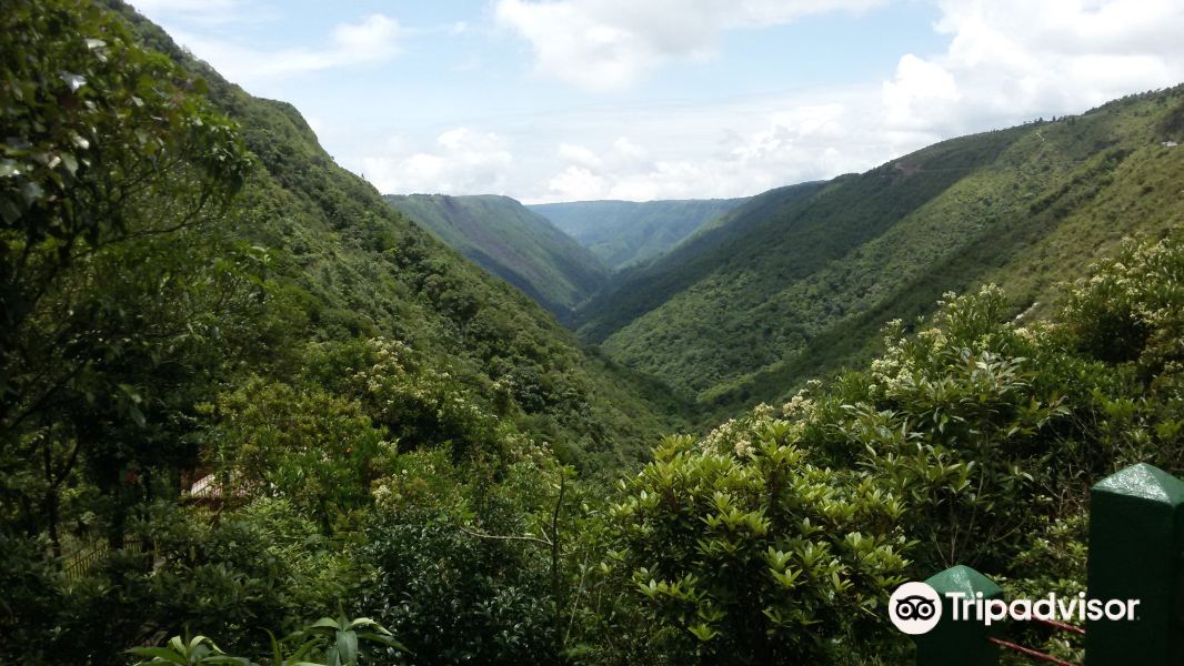 2024Mawkdok Dympep Valley-旅游攻略-门票-地址-问答-游记点评，东卡希山县旅游旅游景点推荐-去哪儿攻略